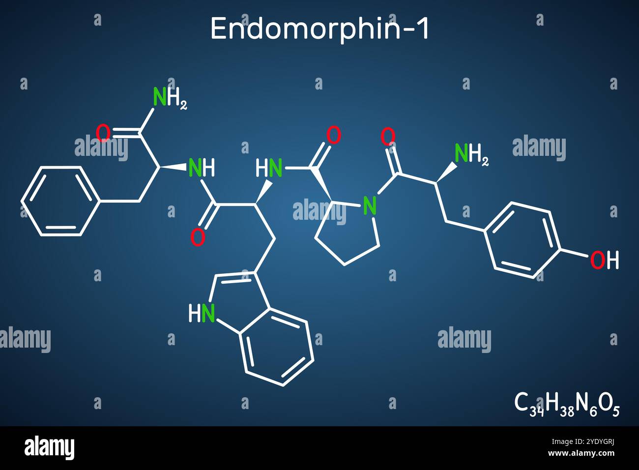 Endomorphin-1 (EM-1) molecule. Endogenous opioid peptide for pain ...