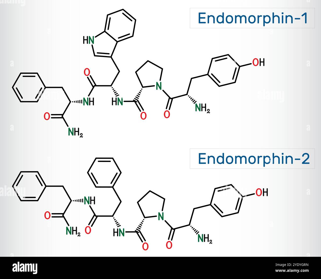 Endomorphin-1 (EM-1), Endomorphin-2 molecule. Opioid peptide with ...