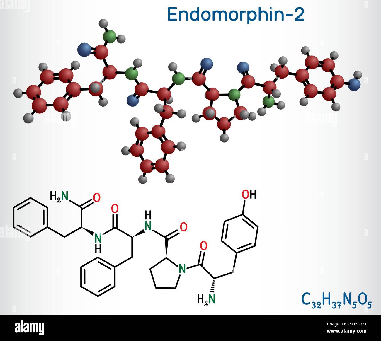 Endomorphin-2 molecule. Natural opioid peptide with analgesic ...