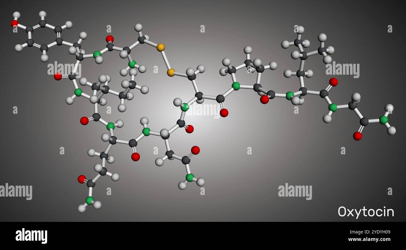 Oxytocin molecule. Peptide hormone and neuropeptide. Molecular model ...