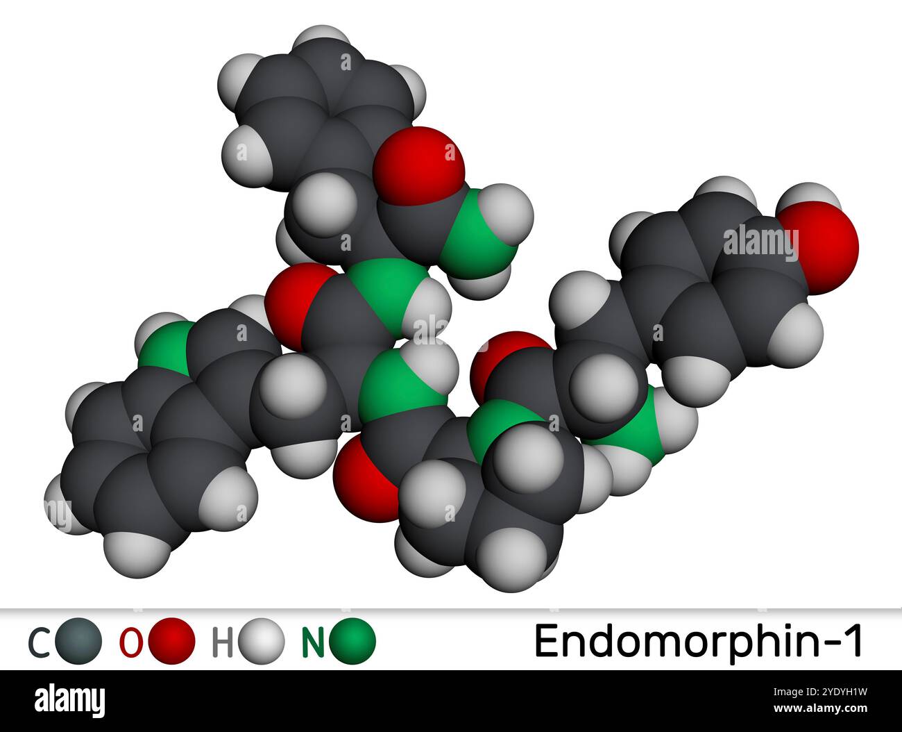 Endomorphin 1 hi-res stock photography and images - Alamy