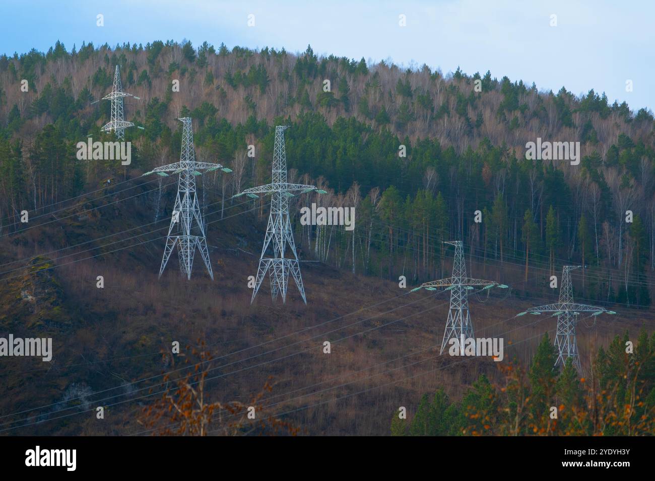 High voltage pylons in the middle of the forest Stock Photo - Alamy