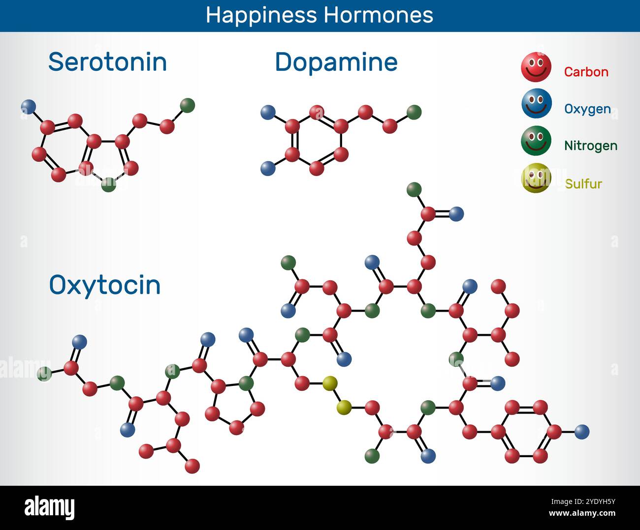 Happiness hormones. Serotonin, dopamine, oxytocin molecules. Vector illustration Stock Vector ...