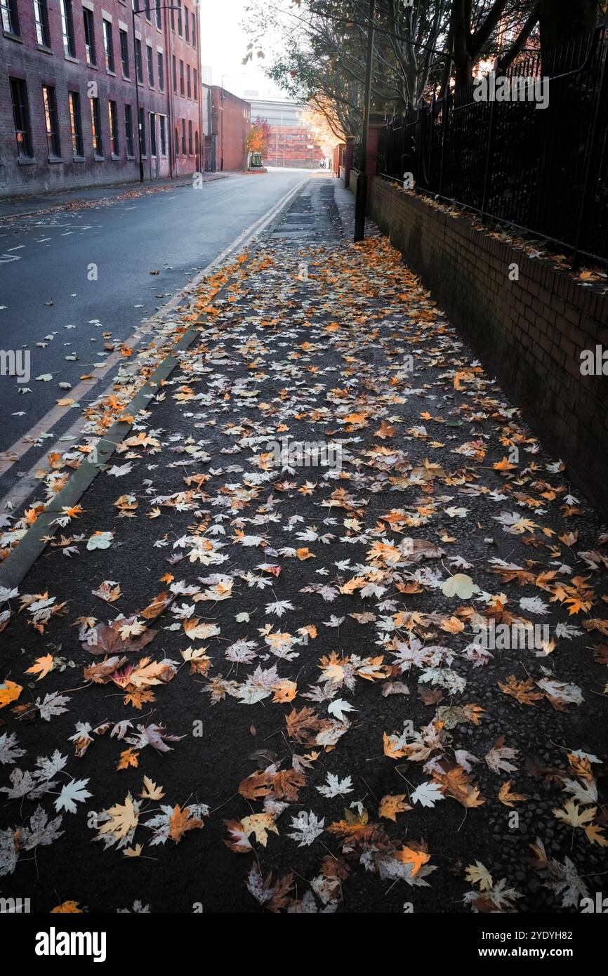 Manchester city center uk hi-res stock photography and images - Alamy