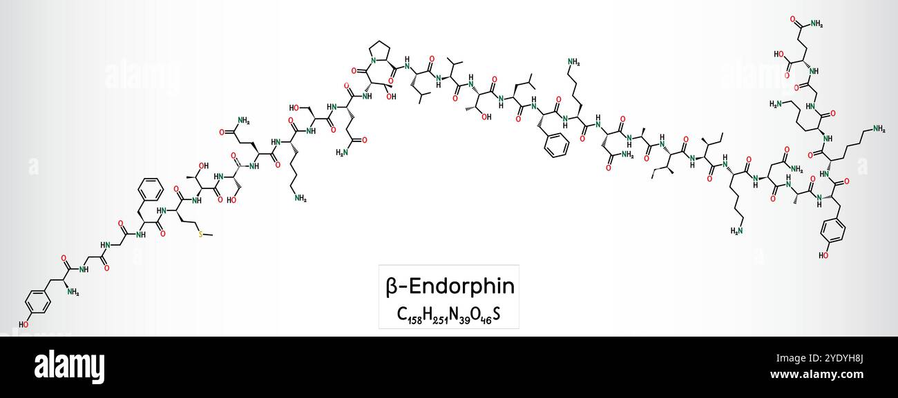 Beta endorphin molecule. Endogenous opioid neuropeptide and peptide ...