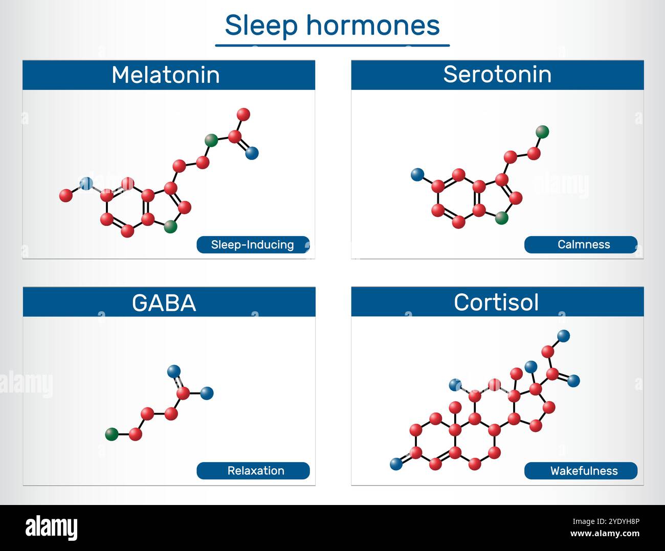Sleep hormone molecule. Structure and function of melatonin, serotonin ...