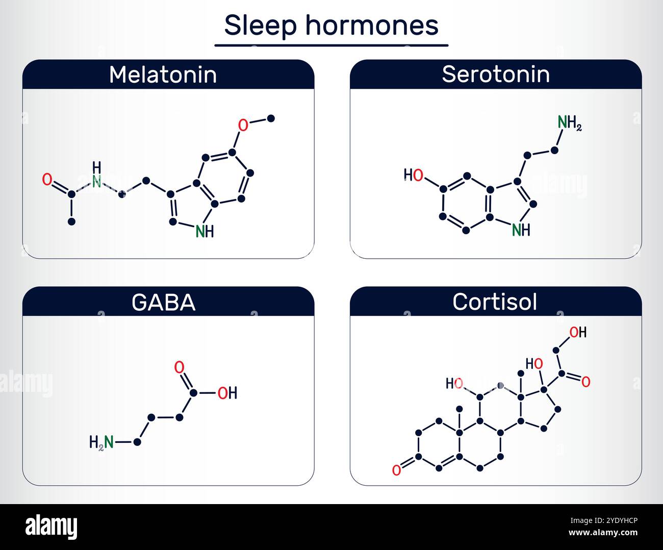 Sleep hormone molecule. Structure and function of melatonin, serotonin ...
