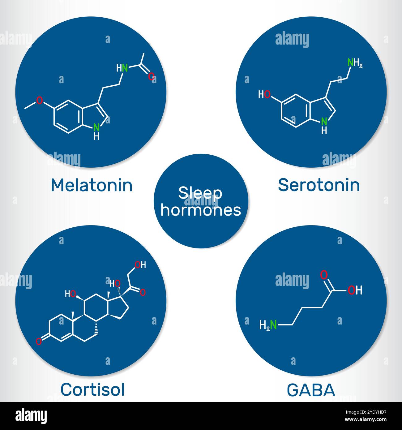 Sleep hormone molecule. Structure and function of melatonin, serotonin ...