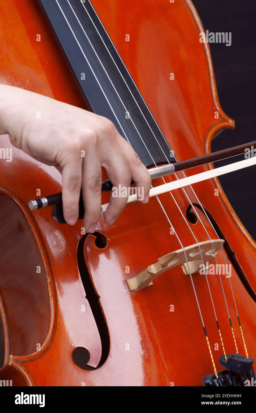 Hold a cello bow hi-res stock photography and images - Alamy