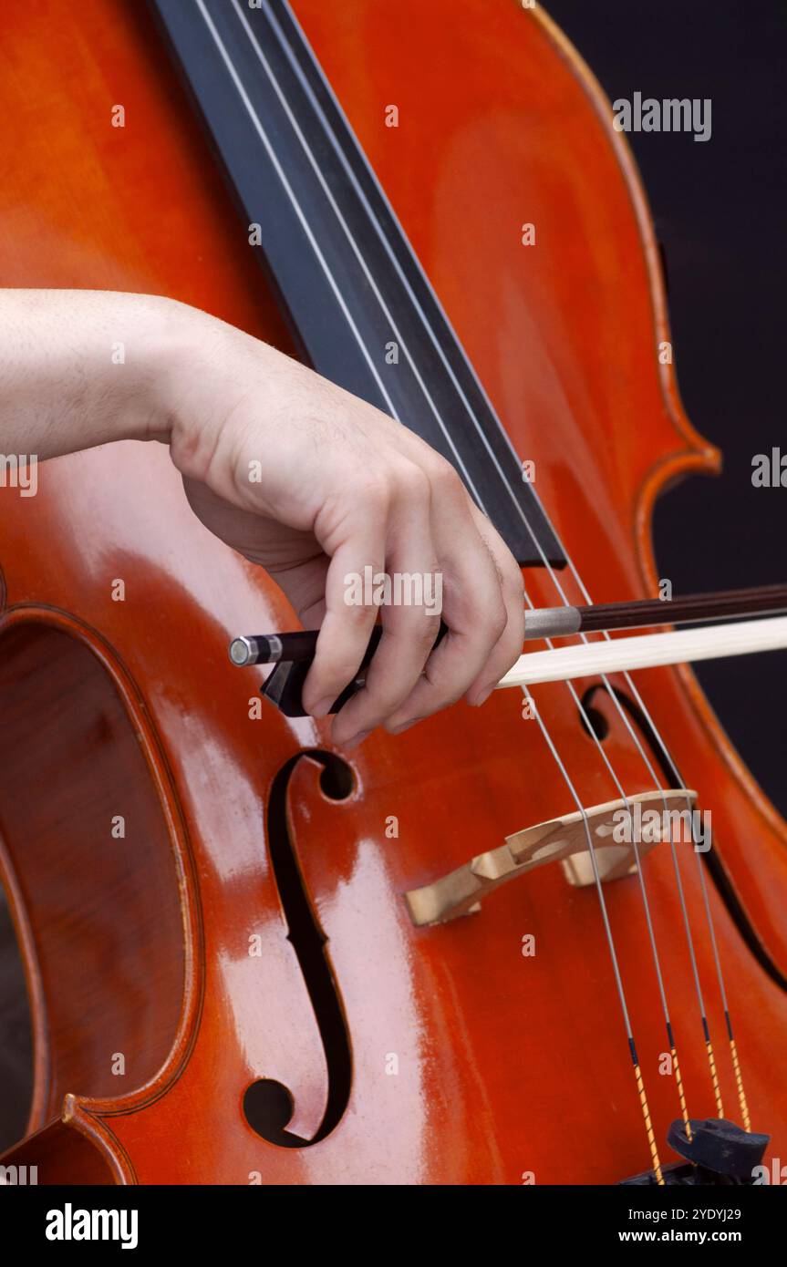 Hold a cello bow hi-res stock photography and images - Alamy