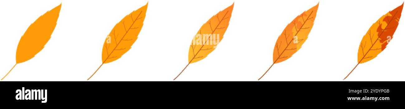 Withered autumn motley leaves. Fallen leaves with variegated texture ...