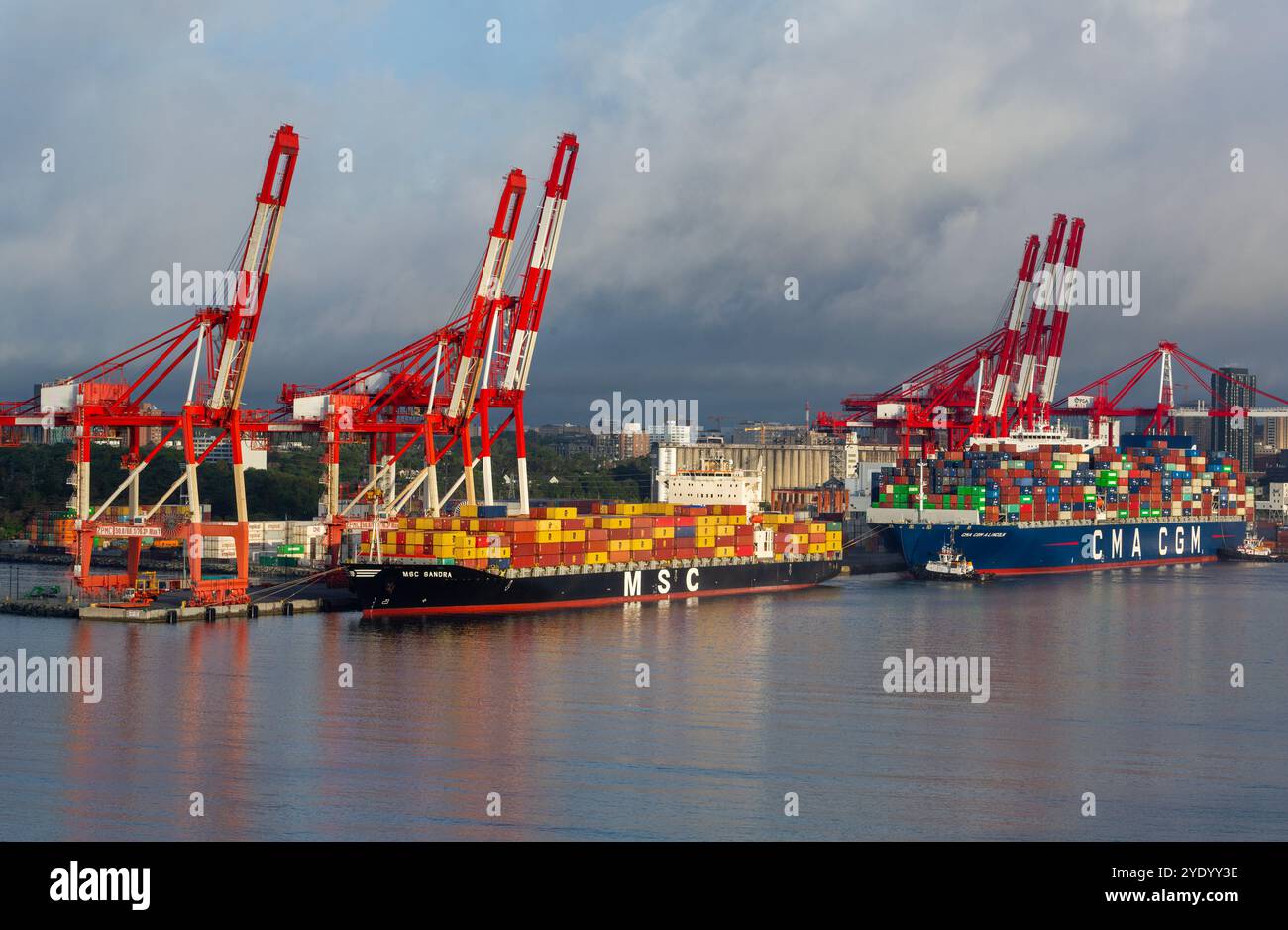 Container Port, Halifax, Nova Scotia, Canada Stock Photo - Alamy