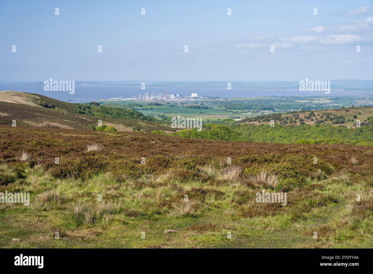 A cluster of tower cranes marks the Hinkley Point C nuclear power ...