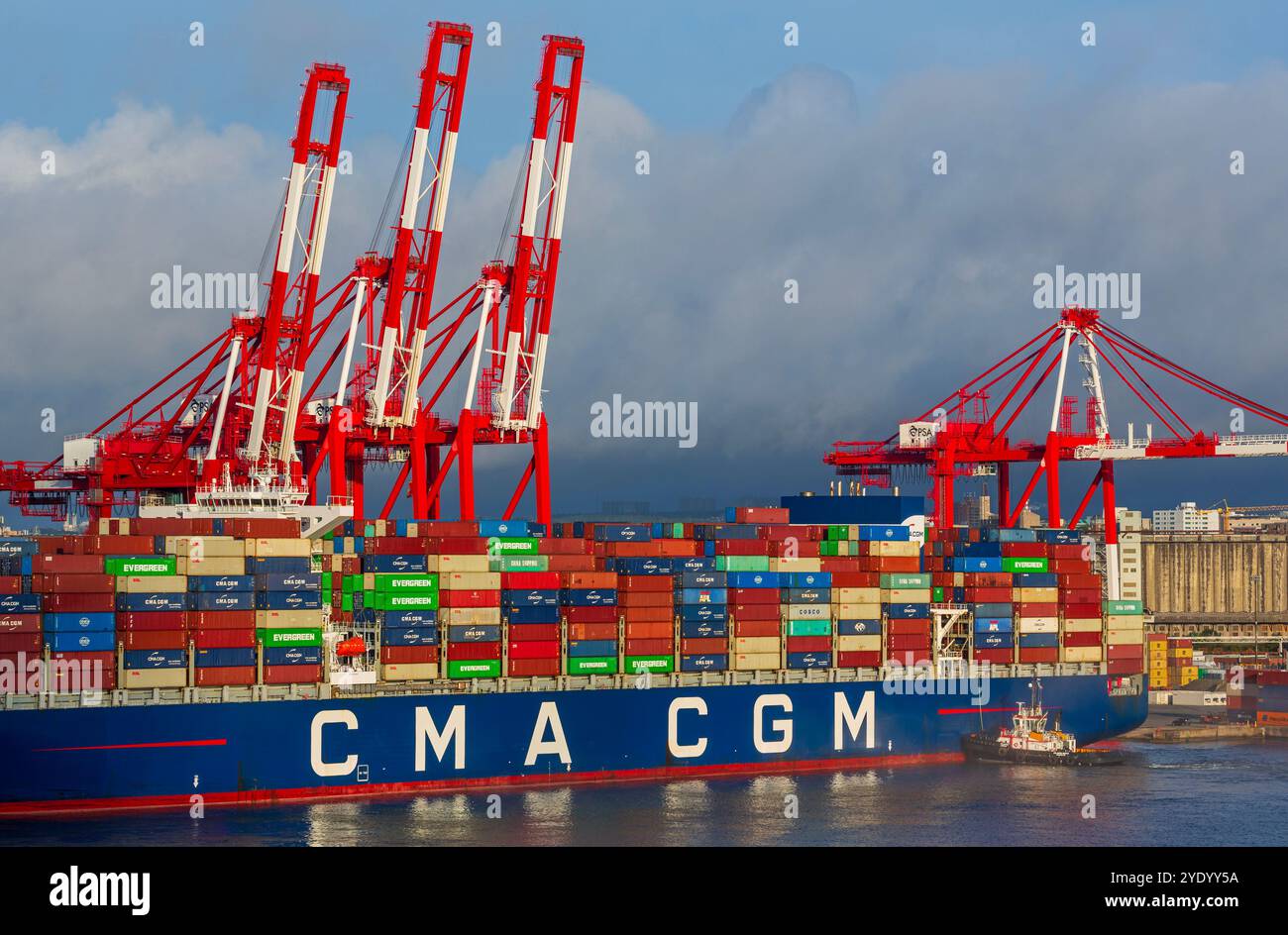 Container Port, Halifax, Nova Scotia, Canada Stock Photo - Alamy