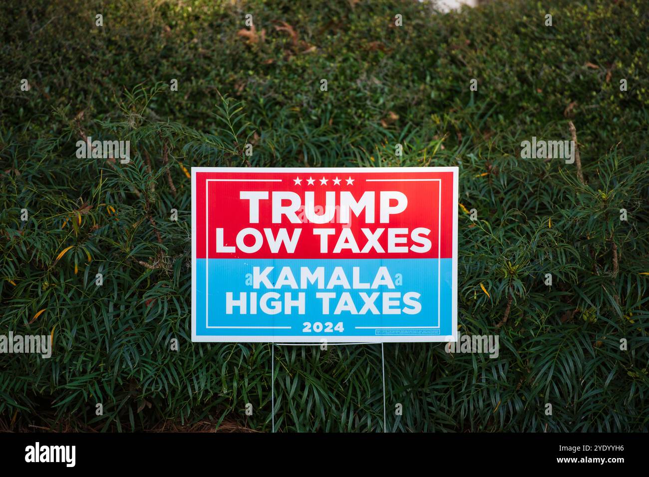 Savannah, Georgia, 2024 Donald Trump political signs that are displayed ...