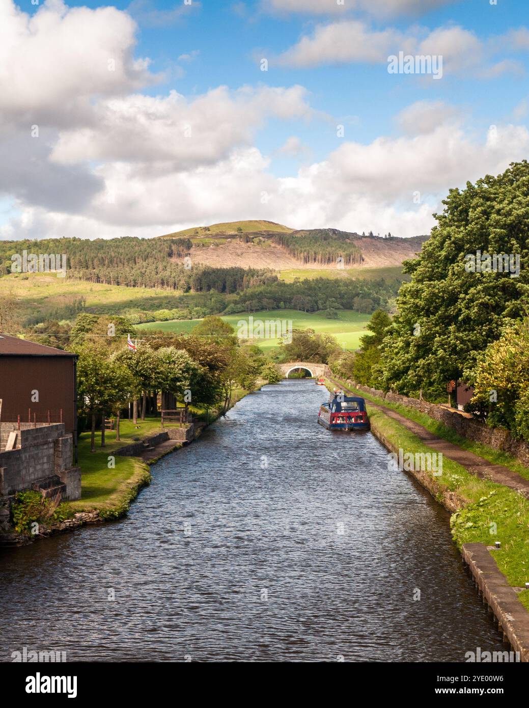 Tree fell on canal hi-res stock photography and images - Alamy