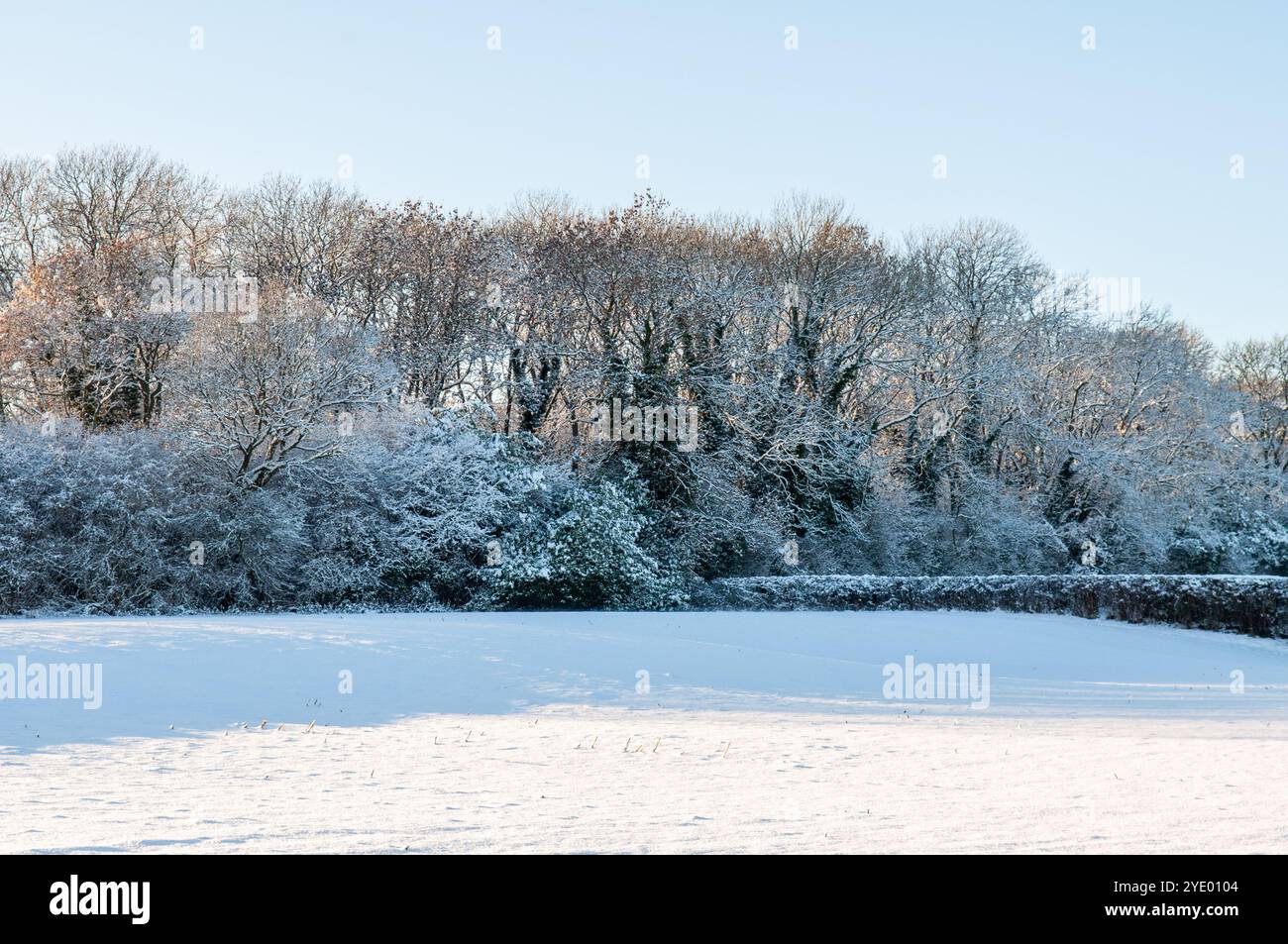 Winter snow covers farm fields and woodland trees in North Dorset's ...