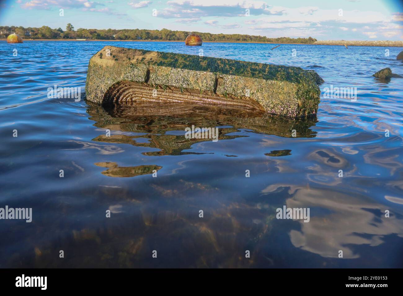 An artificial tide pool cast from "Econcrete" creates a habitat for ...