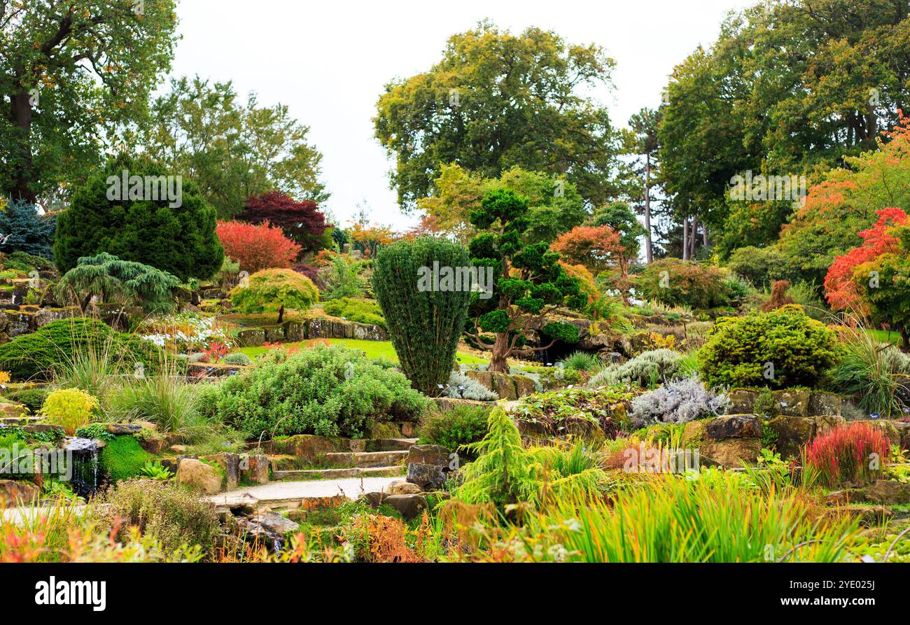 Wisley Gardens Alpine Rockery in Autumn colours Stock Photo - Alamy