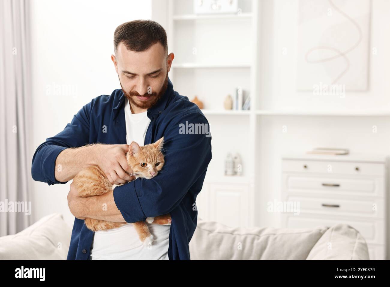 Man petting cute ginger cat at home, space for text Stock Photo - Alamy
