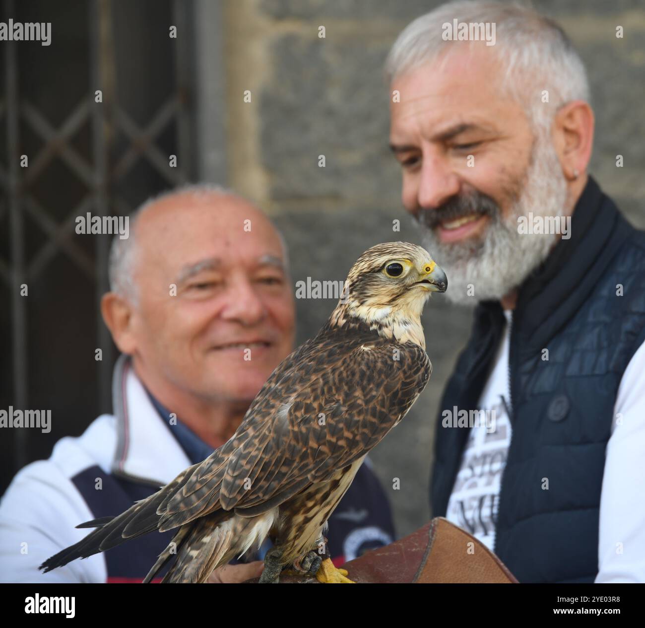 Italian man with his eagle smiling on the street in Melfi, Basilicata ...