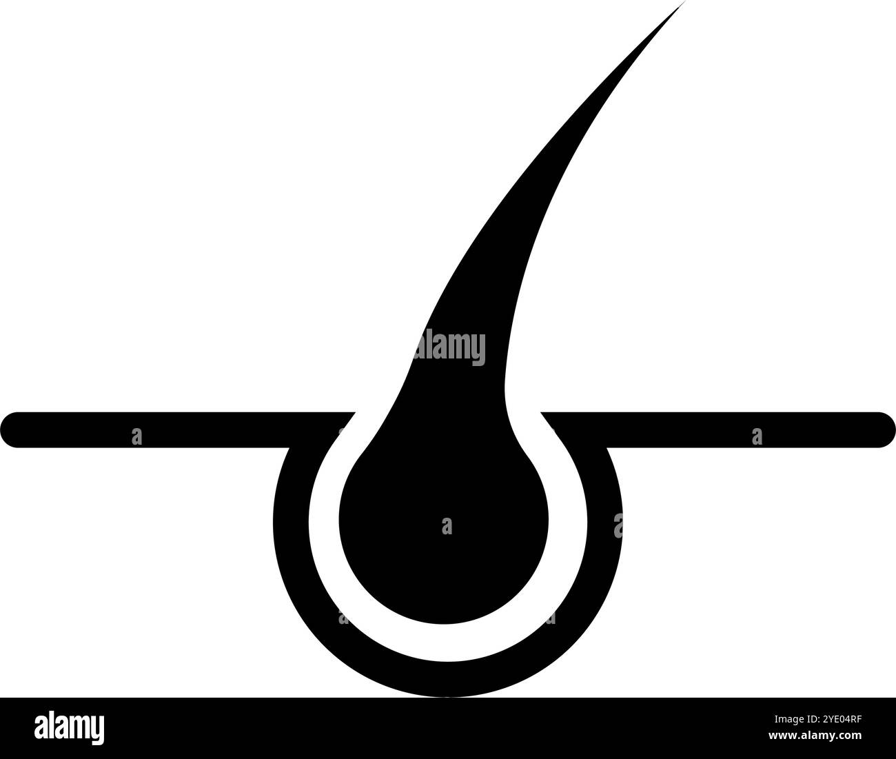 Hair follicle icon human Cut Out Stock Images & Pictures - Alamy