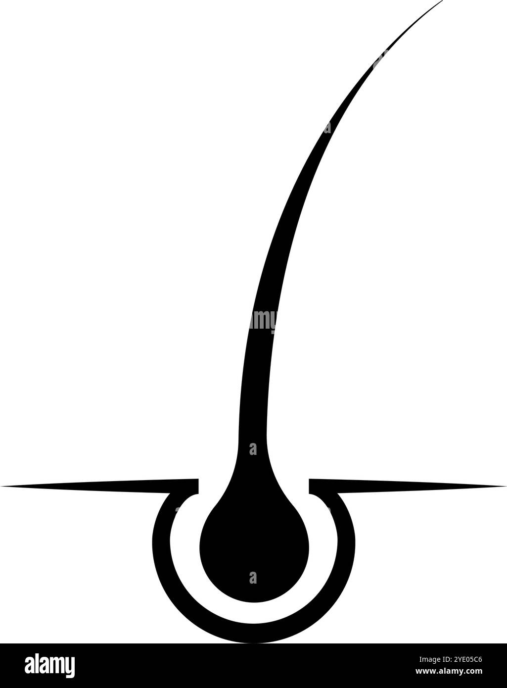 Root hair cell Black and White Stock Photos & Images - Alamy