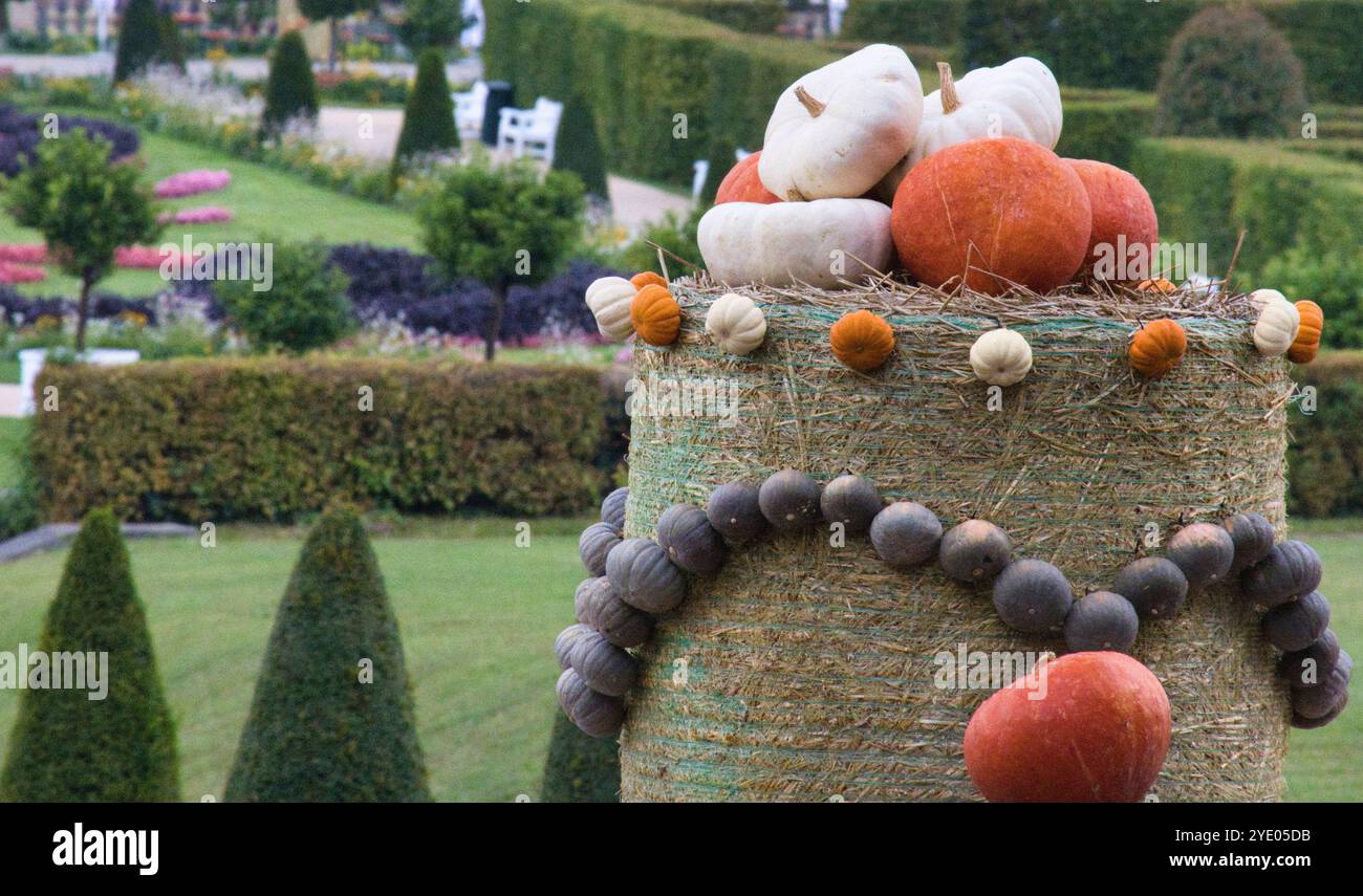 Beautiful pumpkin figures exhibition display in Germany Stock Photo - Alamy