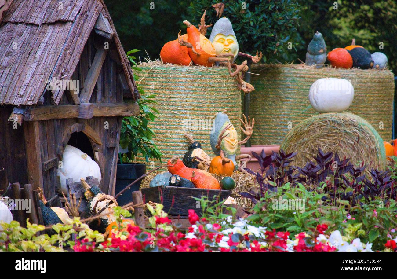 Beautiful pumpkin figures exhibition display in Germany Stock Photo - Alamy