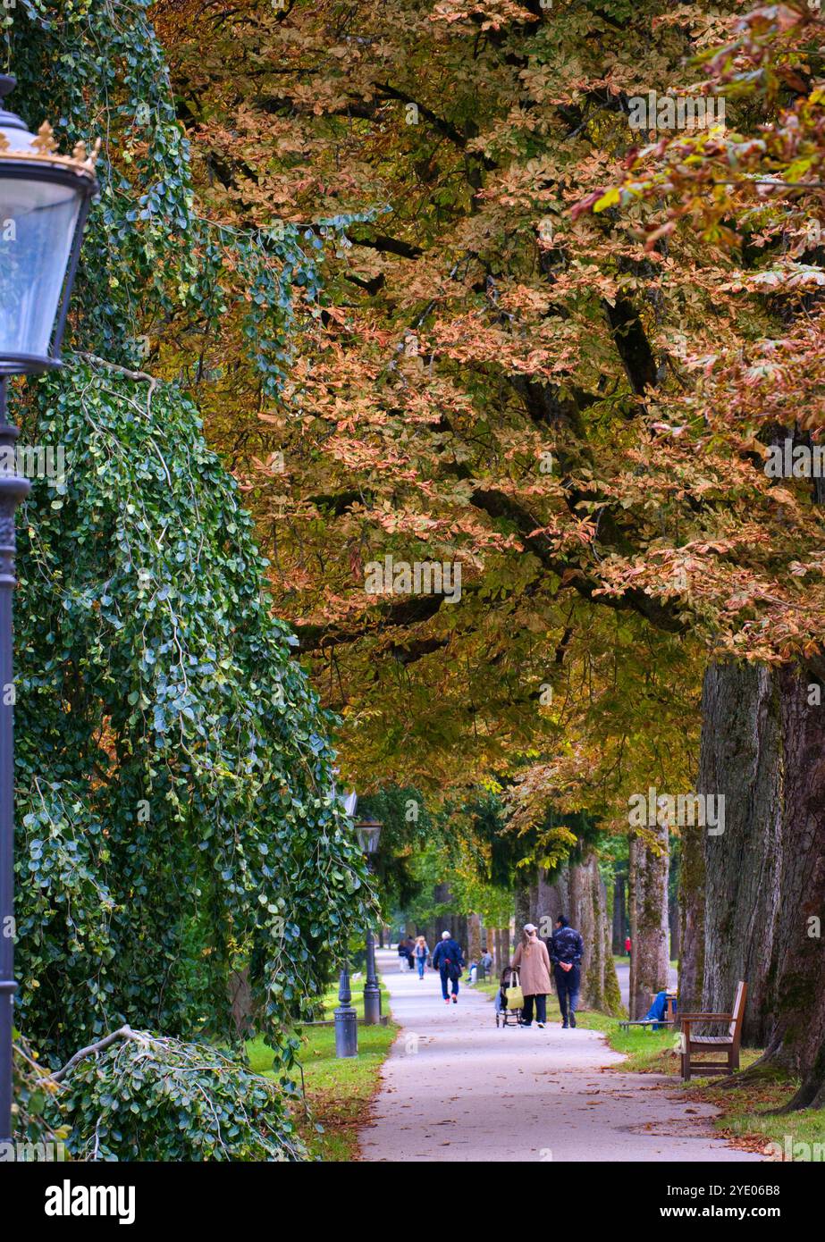 Baden Baden city walk ,Germany Stock Photo - Alamy