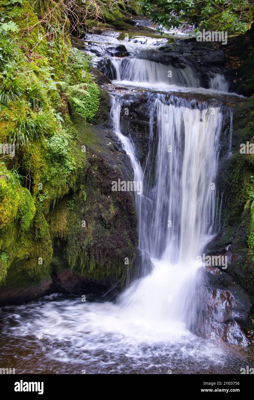 Black forest waterfall,Germany Stock Photo - Alamy