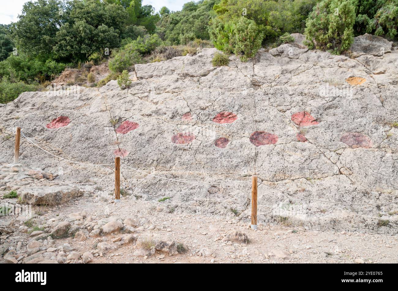 Titanosaurus footprint hi-res stock photography and images - Alamy