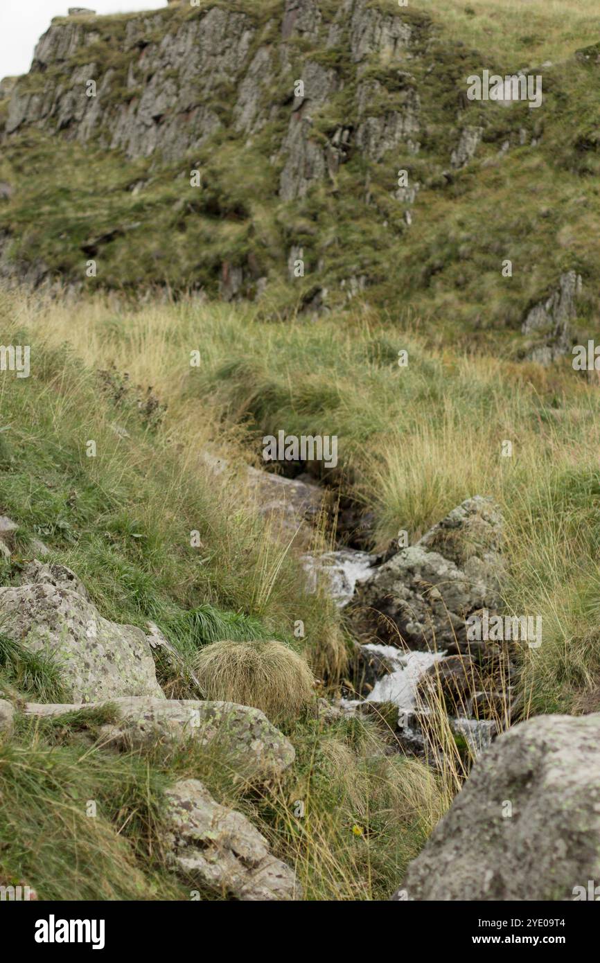 Narrow stream winds hi-res stock photography and images - Alamy