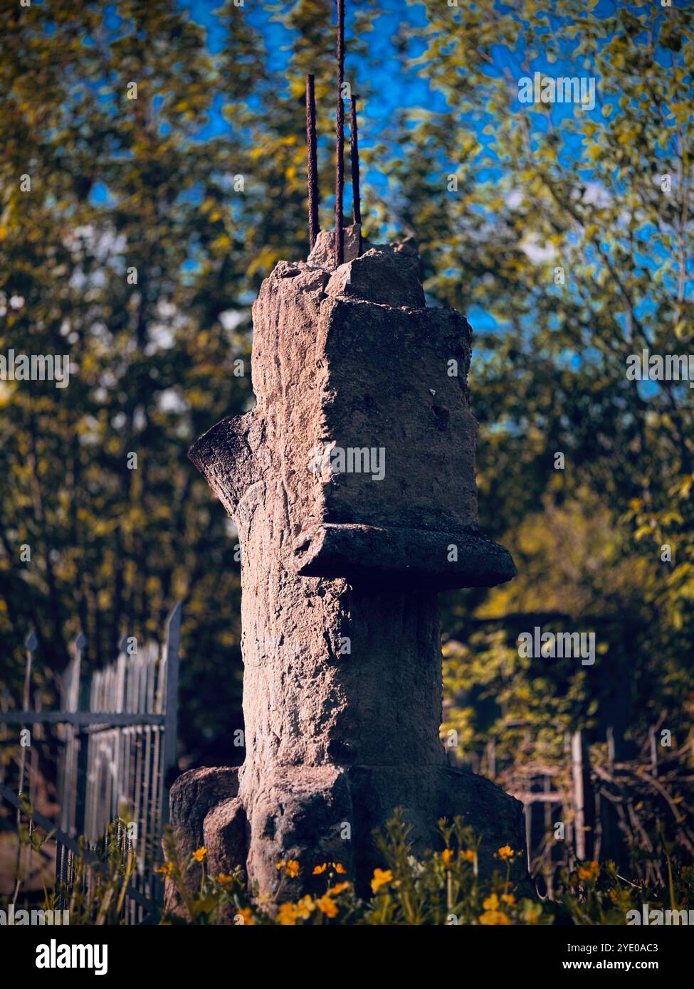 Jewish memorial grave in the shape of tree Stock Photo - Alamy