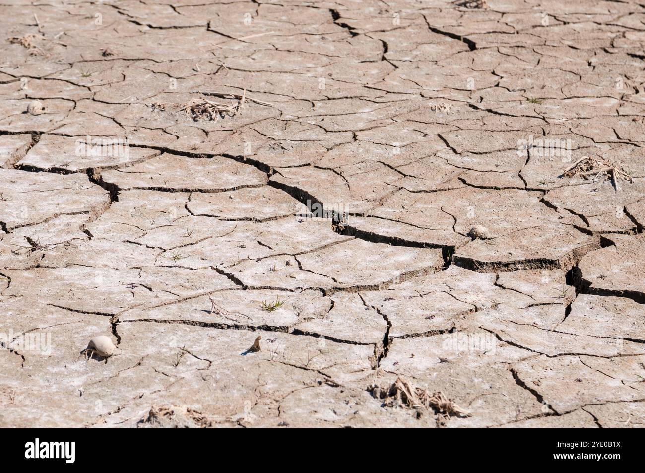 Parc de terrain hi-res stock photography and images - Alamy