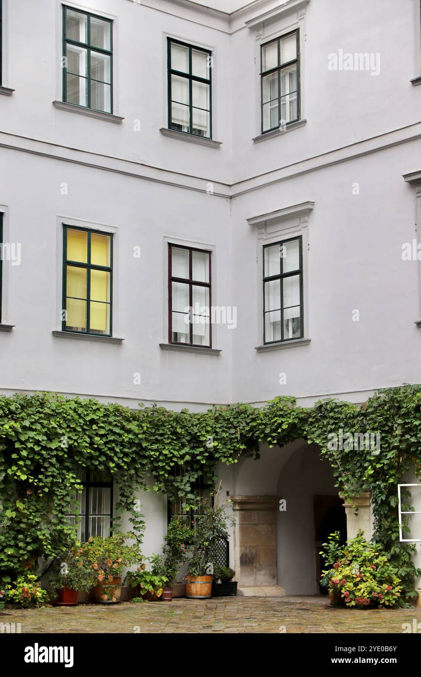 White Facade of Ivy-Covered Historic Courtyard with Potted Plants and ...