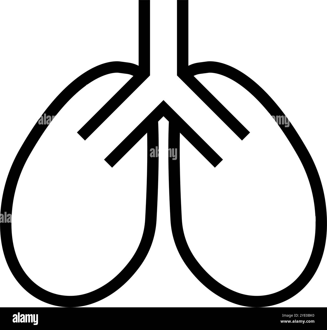 Human lungs icon vector vectors Black and White Stock Photos & Images ...
