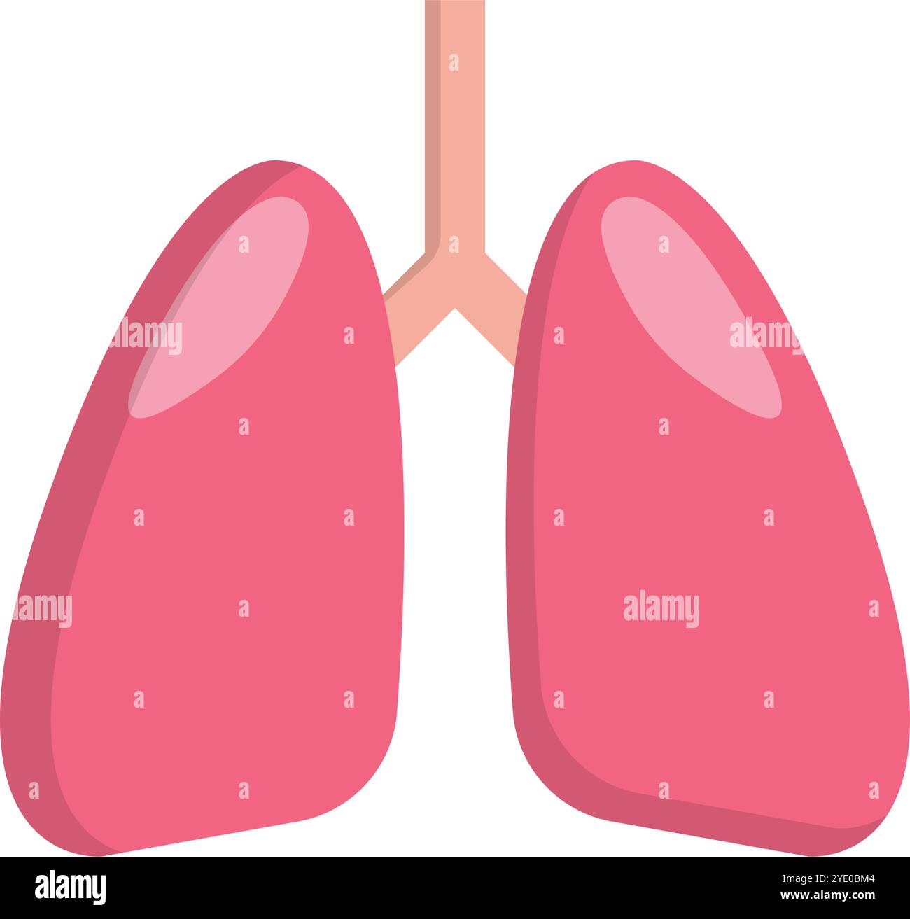 Modern lung icon. Respiratory system. Editable vector Stock Vector ...