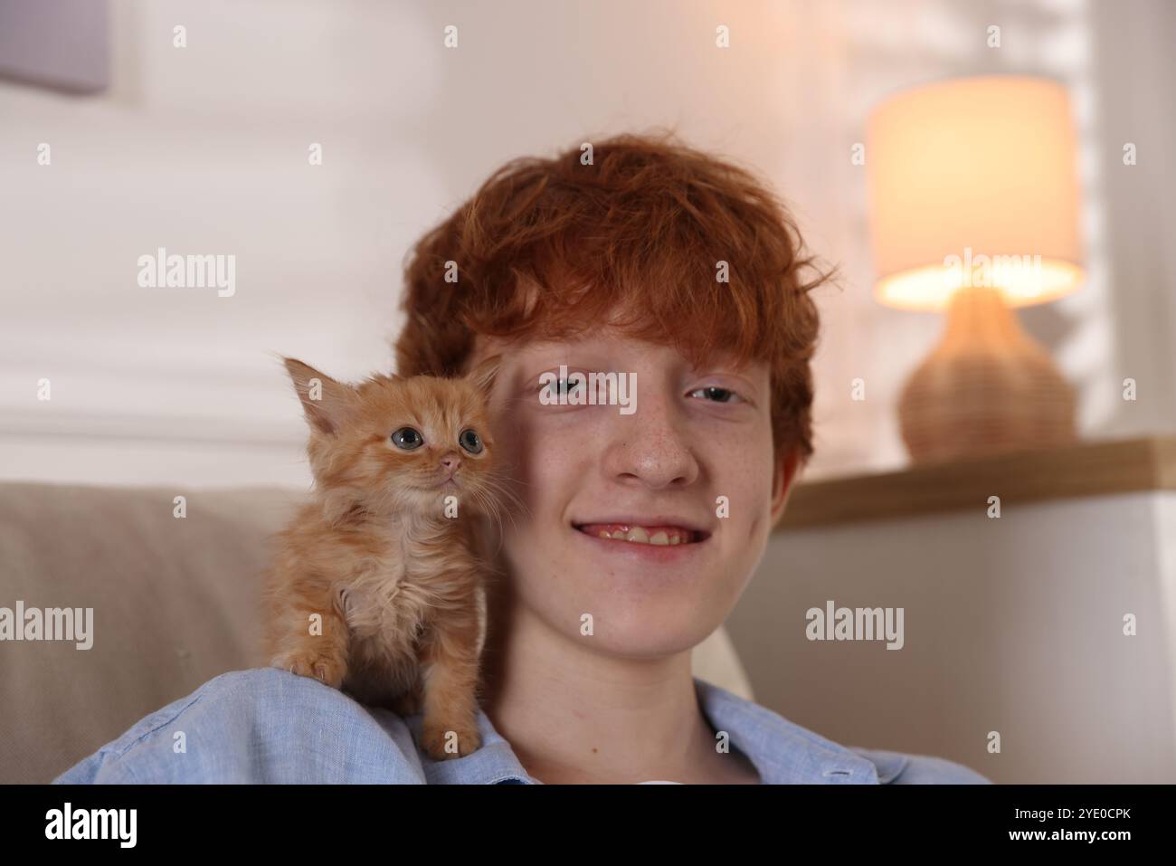 Redhead teenage boy with cute ginger kitten on sofa indoors Stock Photo ...