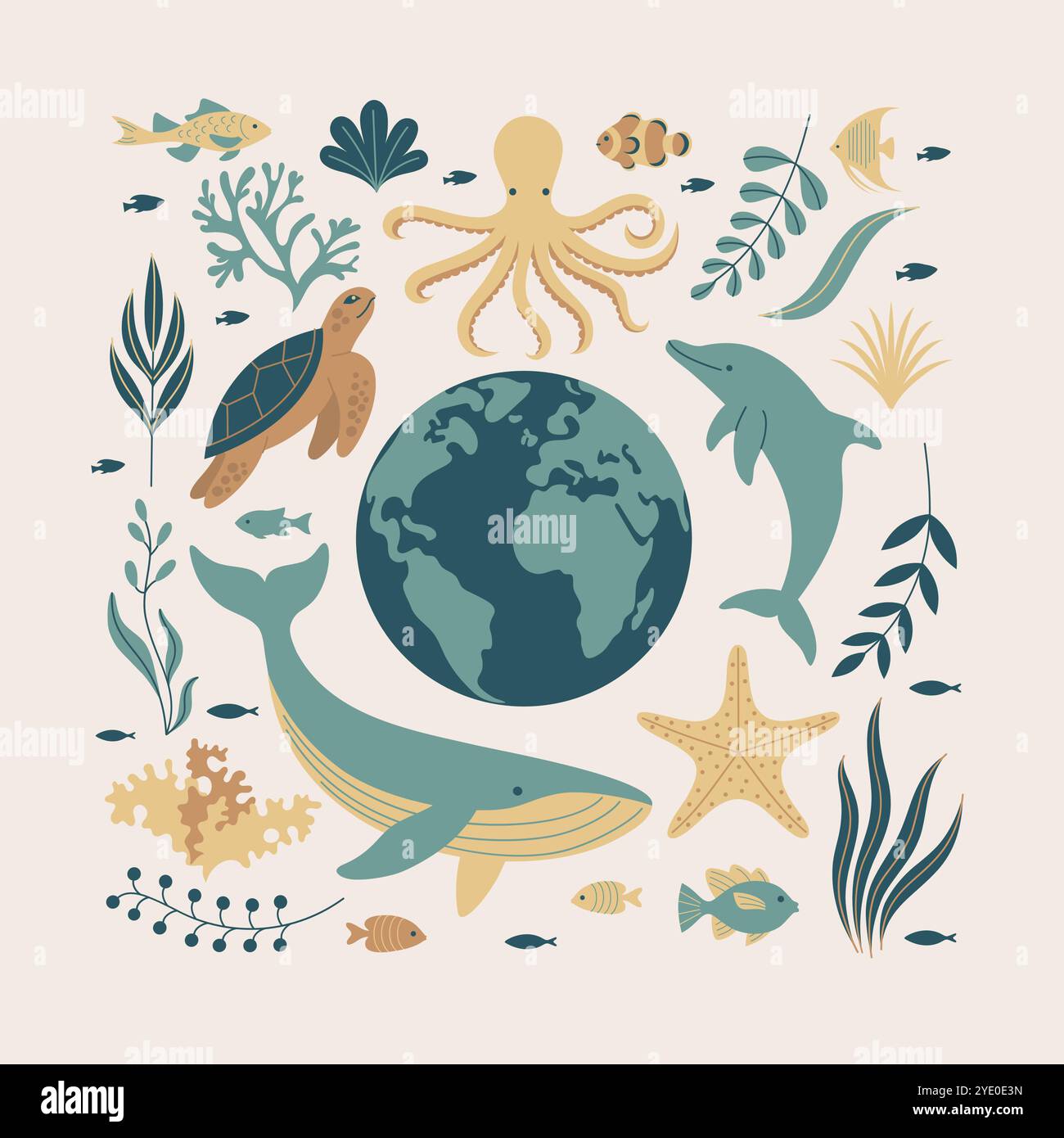Featuring various starfish hi-res stock photography and images - Alamy