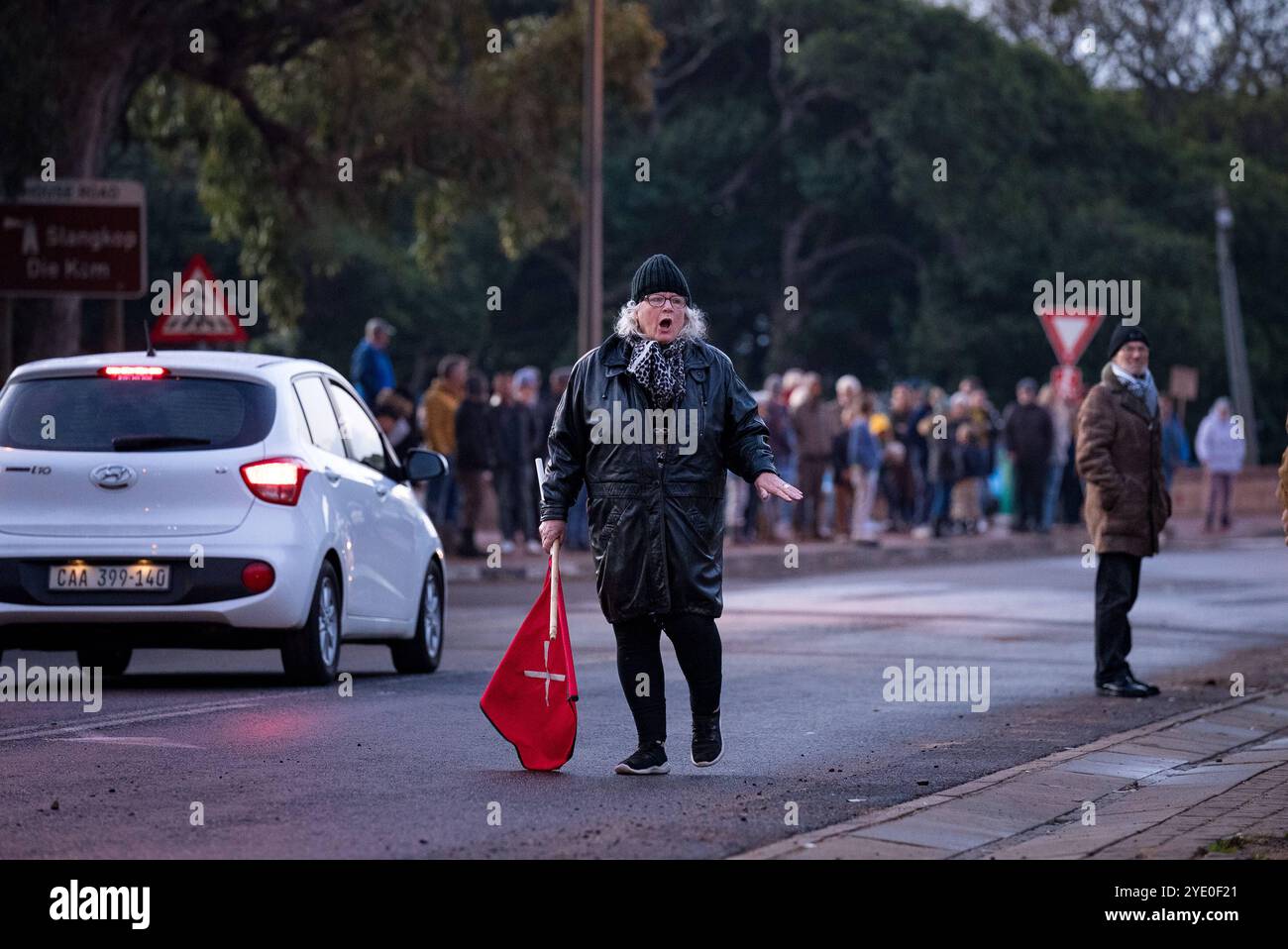 Baboon Life in Cape Town, South Africa A self-appointed baboon monitor ...