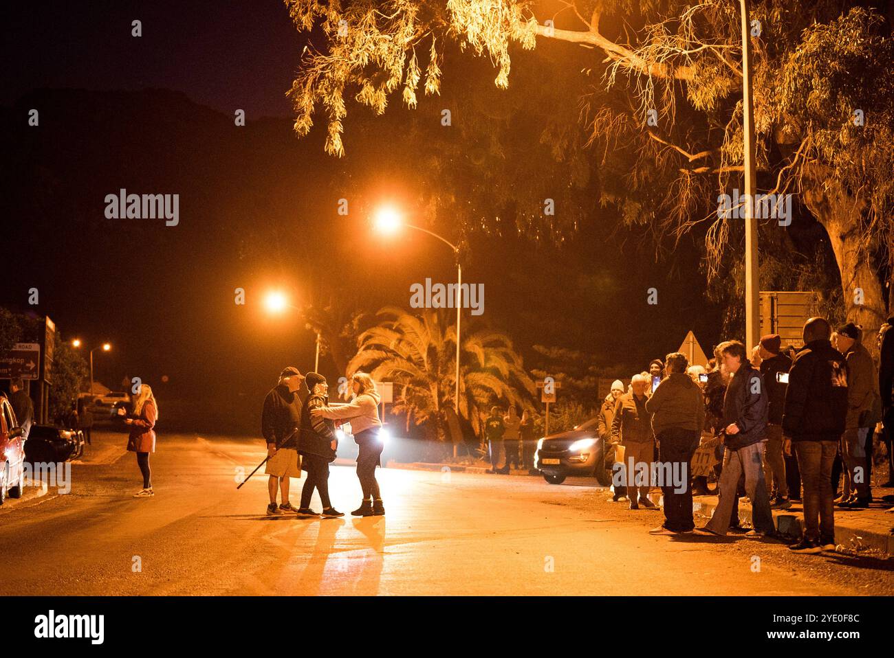 Baboon Life in Cape Town, South Africa Animal rights activists and ...