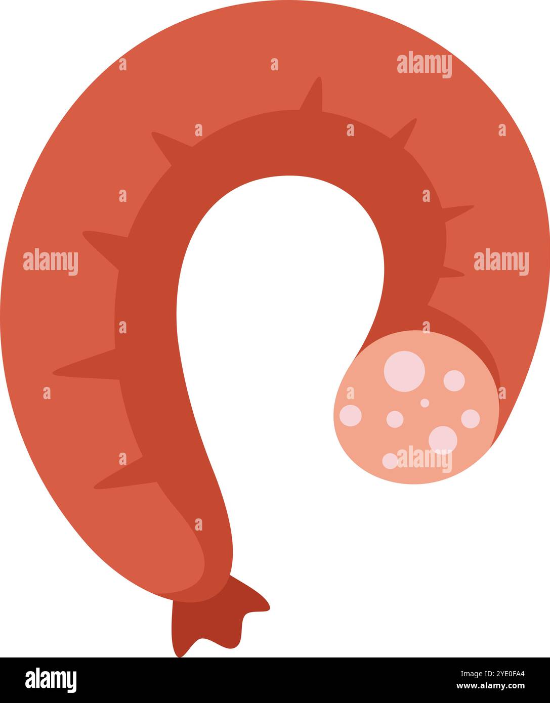 Sausage link is hanging, isolated on white background Stock Vector ...