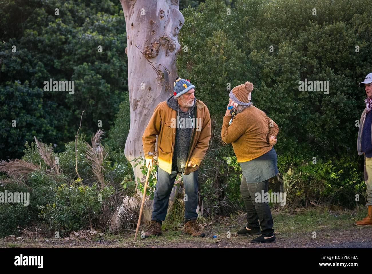 Baboon Life in Cape Town, South Africa A Kommetjie resident and animal ...