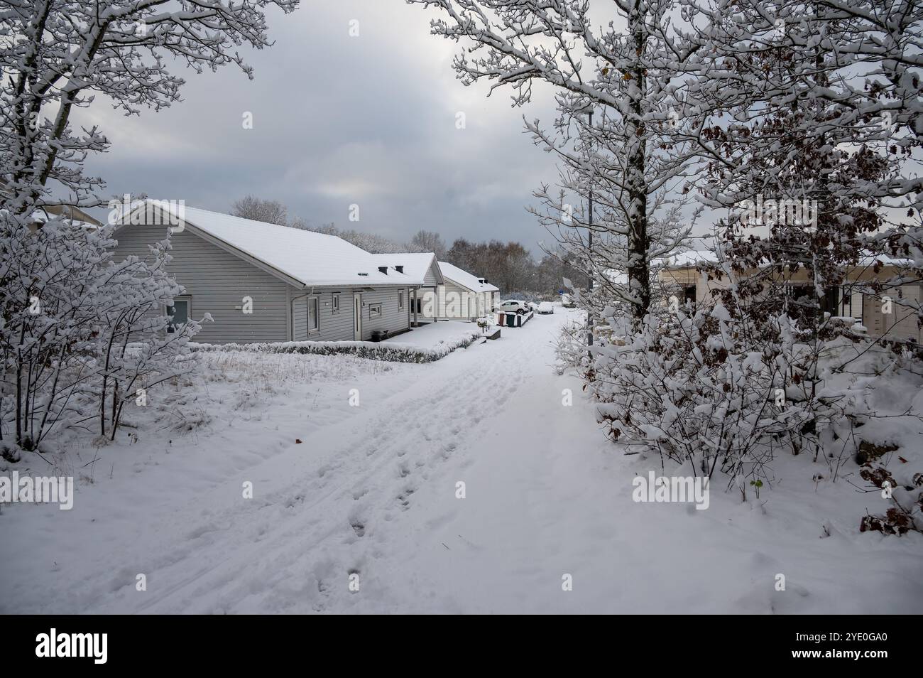 A serene winter scene features a snow-covered pathway surrounded by ...