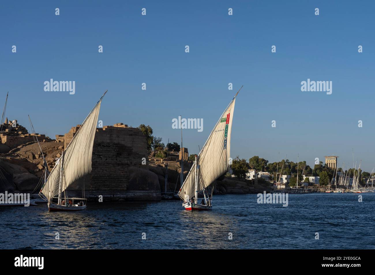 Feluccas on the Nile river, Aswan, Egypt Stock Photo - Alamy