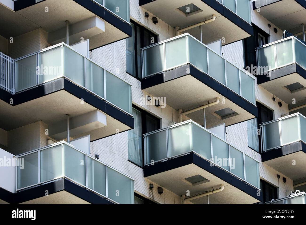 The modern apartment building exterior of the colored in white and navy ...