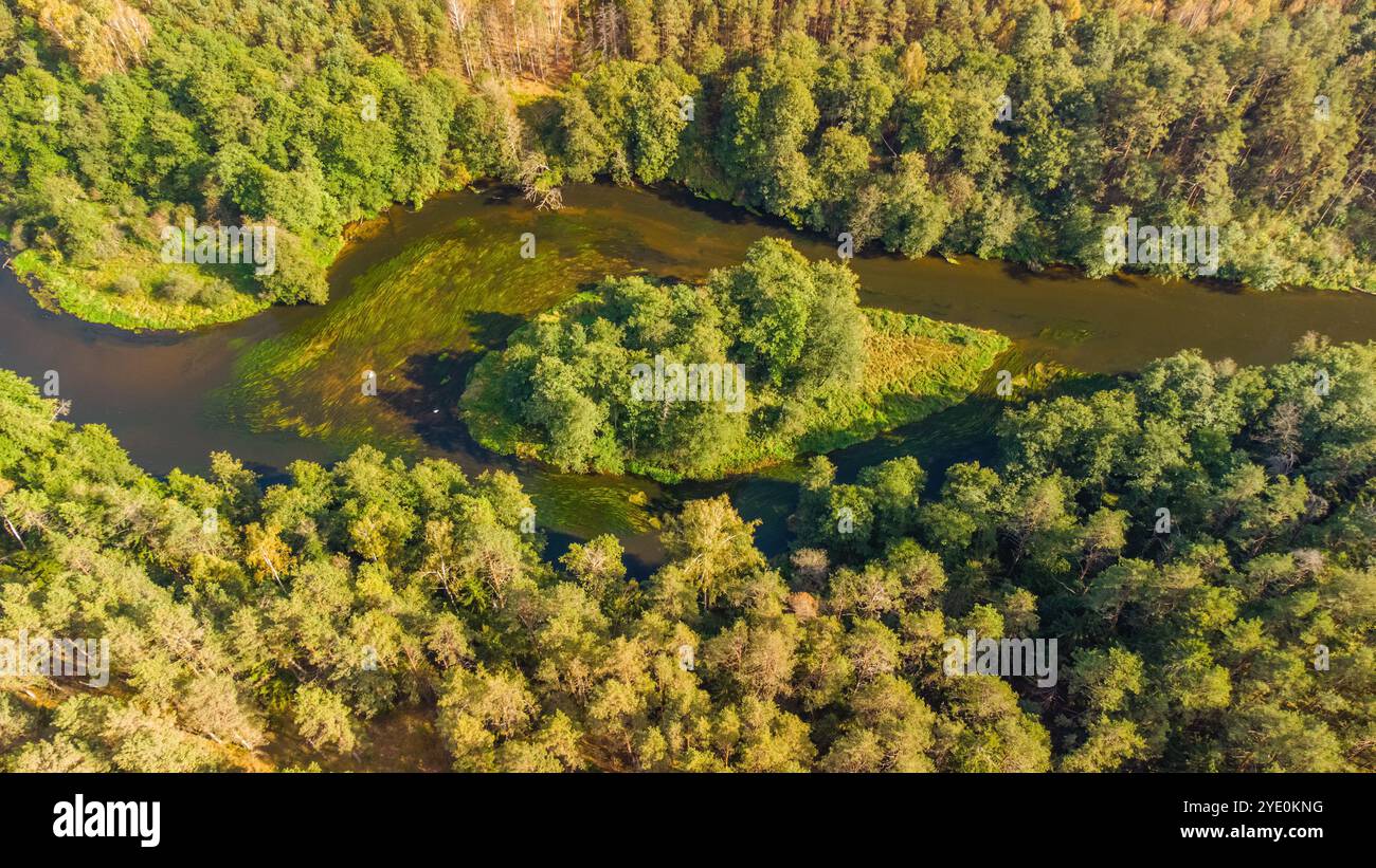 Merkys island of the Lithuanian river, in a wooded environment from ...