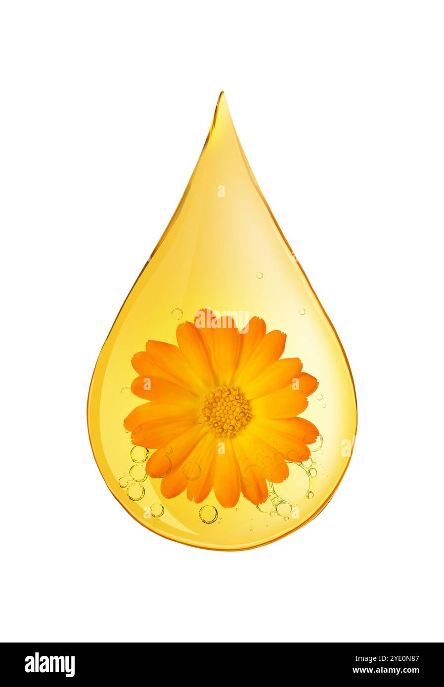 Calendula essential oil drop with flower inside on white background Stock Photo - Alamy
