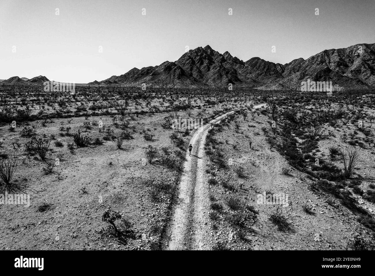 Landscape desierto mexico Black and White Stock Photos & Images - Alamy